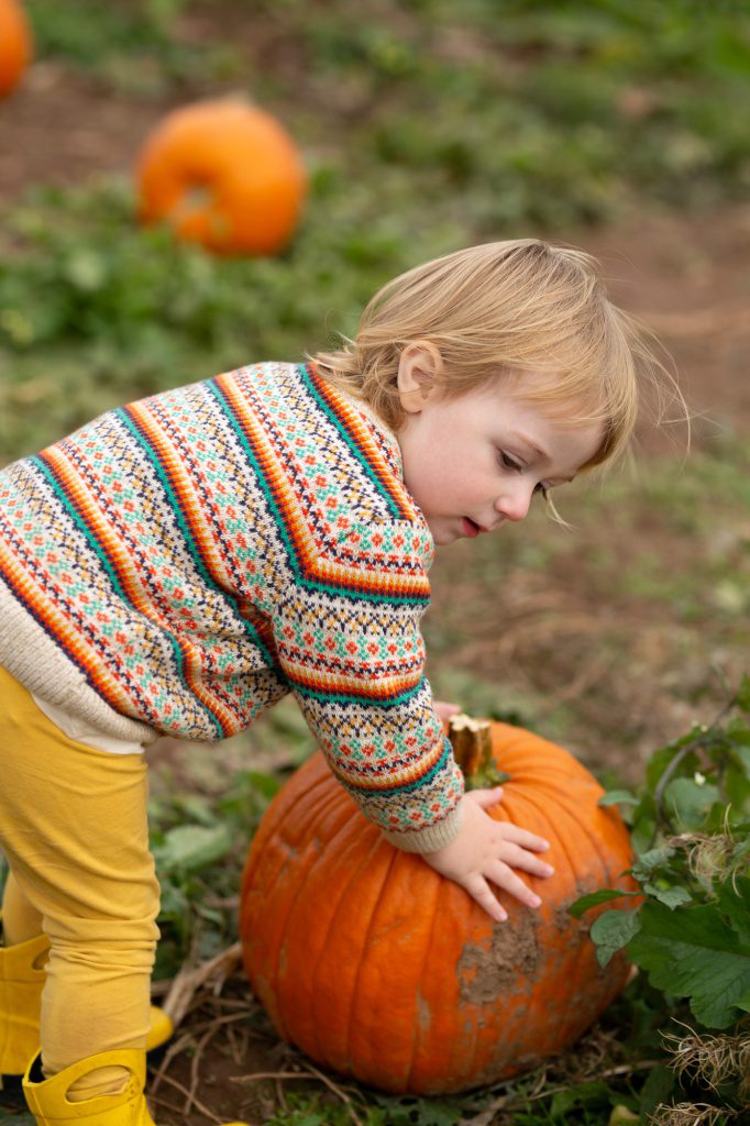 Pumpkin patch family shoot Clearwell farm Cardiff Wales